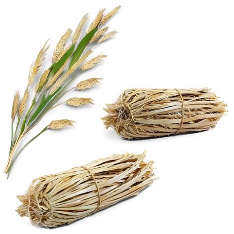 Download Harvested Trigo Sheaves Png Rnm