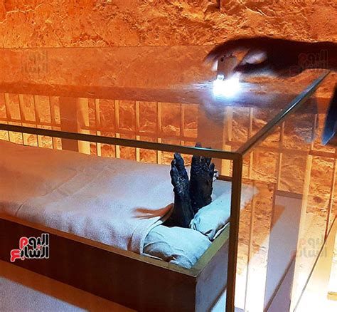 فى الذكرى 101 لاكتشاف مقبرة الملك الصغير توت عنخ آمون اليوم السابع