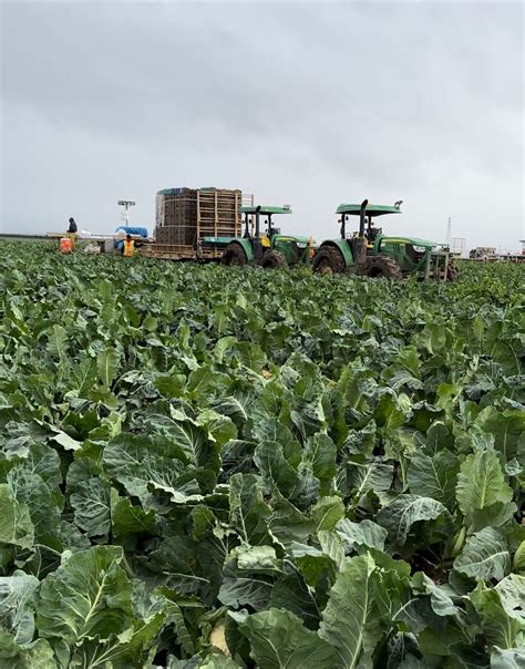 Daniel Rosales Posted On Linkedin