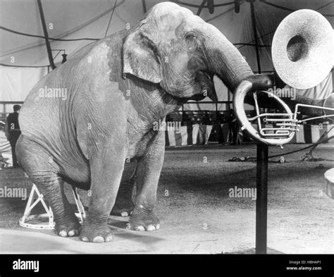 Jumbo Circus Stockfotos Und Bilder Kaufen Alamy