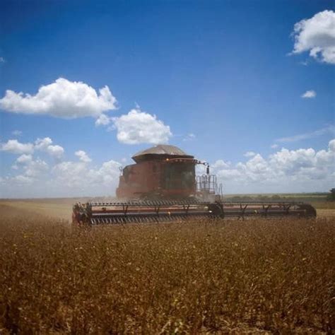 El Defensor de la Tercera Edad pidió la renuncia del titular de la Anses por el descontrol en