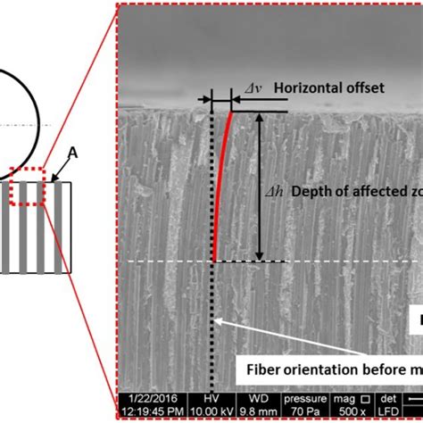 Sub Surface Cross Sectional Sem Image Of Cfrp After Milling Download Scientific Diagram