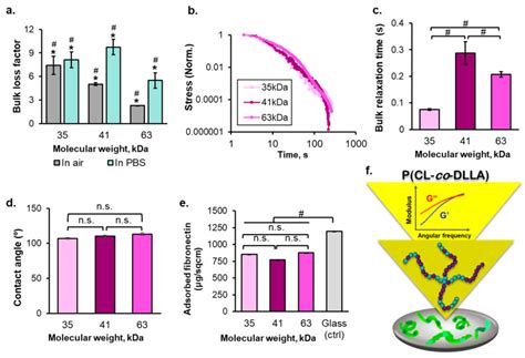 Viscoelastic Liquid Matrix With Faster Bulk Relaxation Time Reinforces The Cell Cycle Arrest