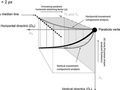 Schematic Representation Of A Parabolic Point Movement The
