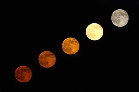 ‏مجموعه‌ای از رنگ‌ های مختلف ماه کامل که طی 10 سال در ایتالیا گرفته شده