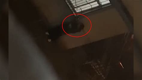 女生称有男生在女厕外徘徊偷拍，校方：安保处在处理 锋线视频 澎湃新闻 The Paper