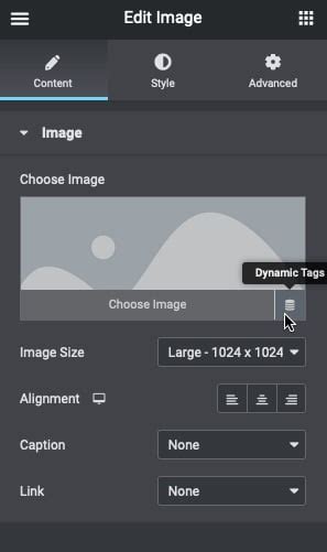 Useful Acf Basics With Your Page Builder Almost Inevitable Tutorials