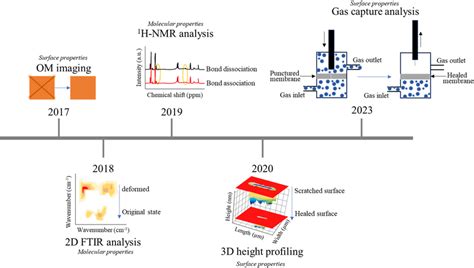 Surface Scratch Research Revolution Download Scientific Diagram