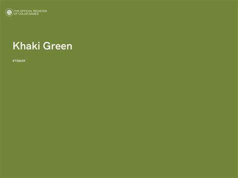 Khaki Green Color 728639 The Official Register Of Color Names