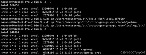 go语言的zero框架下goctl的安装与配置以及使用 goctl安装 csdn博客