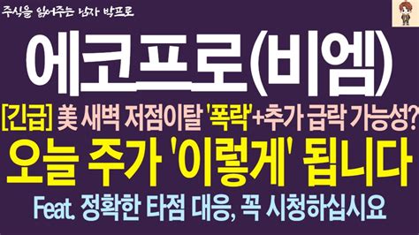 에코프로비엠 주가전망 美 새벽 저점 이탈 폭락추가 급락 가능성 오늘 주가 이렇게 됩니다 주주님들 꼭
