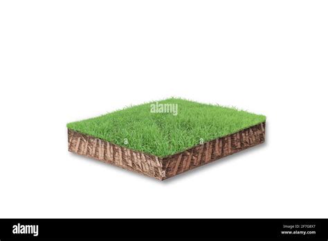 3d Render Soil Cubical Cross Section With Green Grass Isolated On
