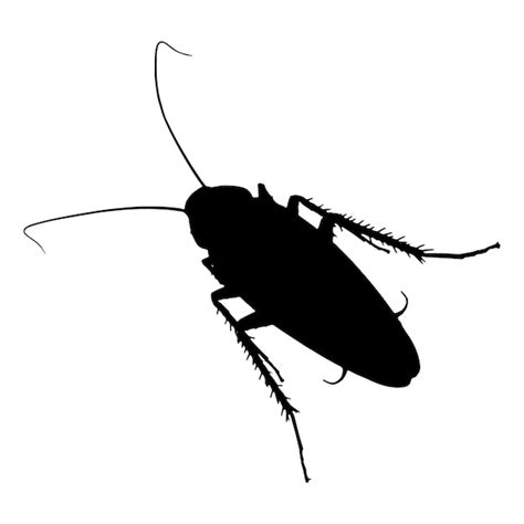 Black Cockroach Vectors And Illustrations For Free Download Freepik