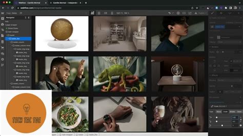 Webflow Instructions Introducing Animated Animation With Webflow