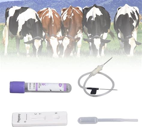 Rapid Bovine Cow Pregnancy Test Kit Early Pregnancy Detection For