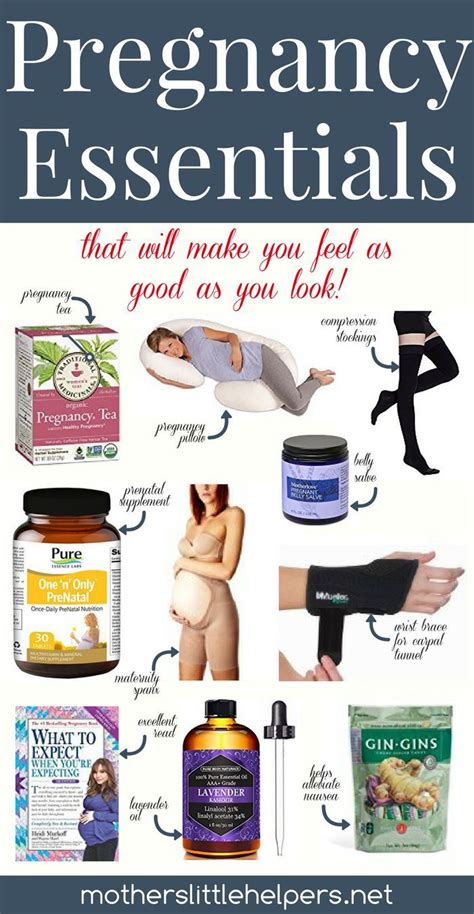 Early Pregnancy Artofit