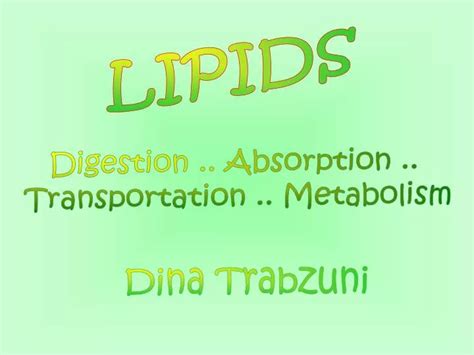 PPT LIPIDS PowerPoint Presentation Free Download ID 72786