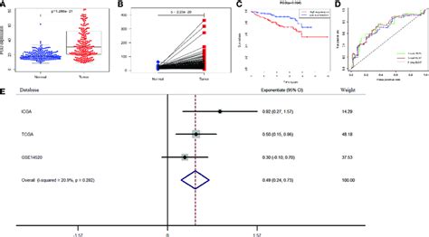 Verification Of Pgd Expression And Prognostic Power In Icgc And Geo