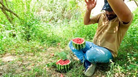 Watermelon And Rubber Bands Watermelon And Rubber Band Explosion