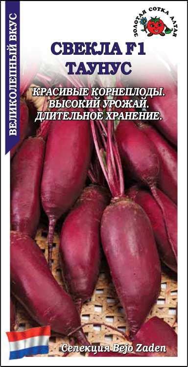 Золотая сотка алтая