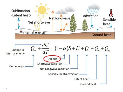 Snow Morphology For 4th Graders Ppt Download