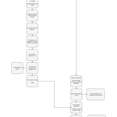 Flowchart Of The Peer Education Intervention Download Scientific Diagram