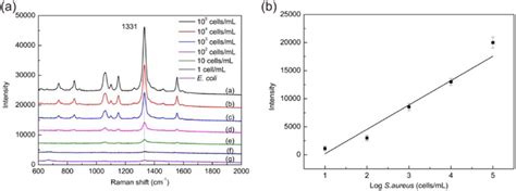 a sers spectra taken from the aptamer recognition sensing platform