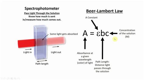 Beer S Law Overview YouTube