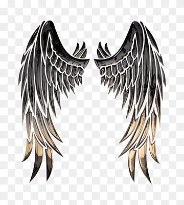Wing Png Images Pngwing