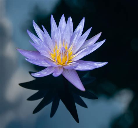 How Does Sin Affect Christians 3 Important Ways Swan Creek Baptist