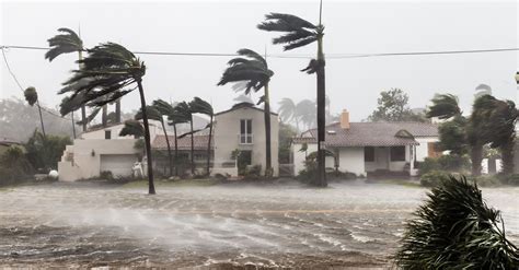 react disaster response on linkedin earthday