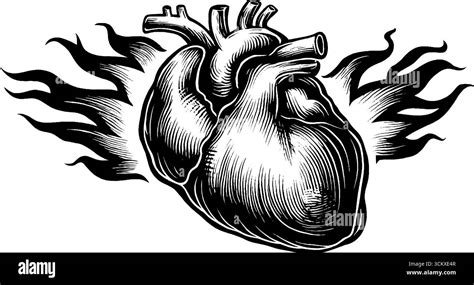 Flaming Heart Symbol In Black And White Woodcut Design Stock Vector