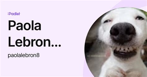 Paola Lebron Santiago Paolalebron8 Profile Padlet