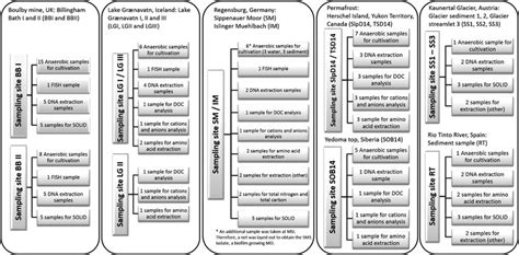 Schematic Representation Showing Samples Collected From Each Field Site Download Scientific