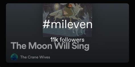 Non Binary Frog On Tumblr