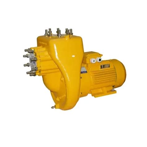 Desmi Dumps Lavastica International