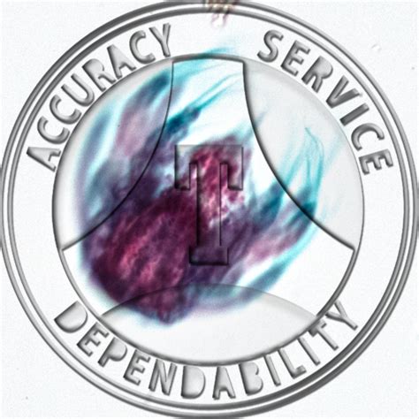 Barnacle Nauplius Fascinating Marine Biology Study Specimen — Nature