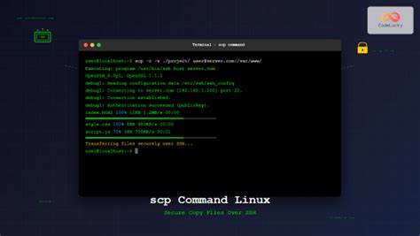 Scp Command Linux Complete Guide To Secure File Transfer Over Ssh Codelucky