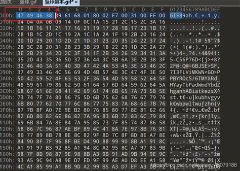 Buuctf Misc Bjdctf2020 鸡你太美 Csdn博客