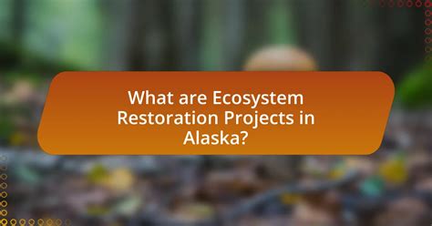 The Future Of Ecosystem Restoration Projects In Alaska •