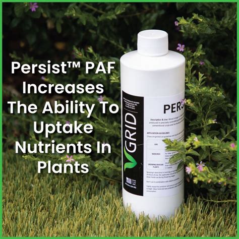 Persist On Linkedin Persist Persistncp Biochar