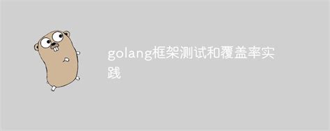 golang框架测试和覆盖率实践 叮当号