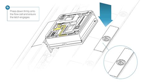 Spatial Transcriptomics Sequencing From 3 Cdna Prepared With 10x Genomics Using Sqk Lsk114 And