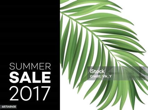 판매 배너 종 려 잎 정글 잎 필기 글자와 포스터 꽃 열 대 여름 배경입니다 벡터 일러스트 레이 션 0명에 대한 스톡 벡터 아트 및 기타 이미지 Istock