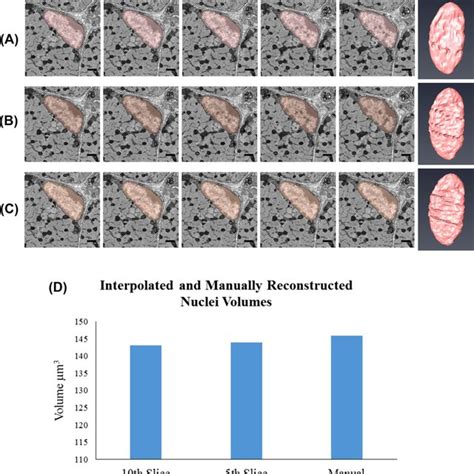 Anglo Platinum Bubble Sizer Download Scientific Diagram