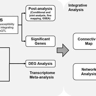 A Schematic Workflow Of An Integrative Transcriptome Wide Analysis For Download Scientific