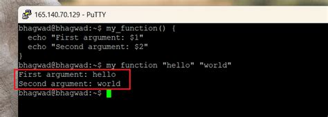 How To Use Bash Function Arguments