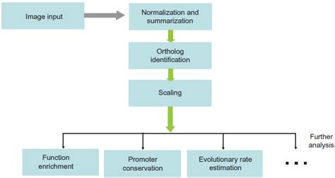 Article Commentary Microarray Data Analysis Of Gene Expression