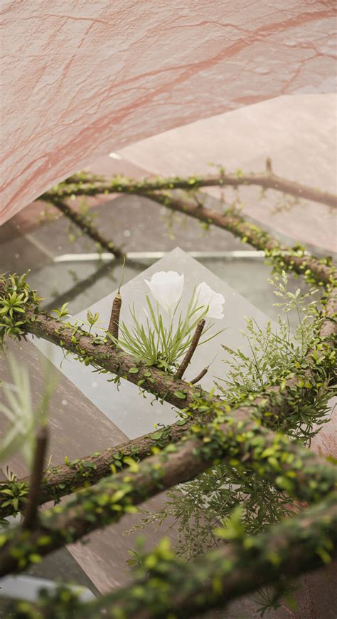 Does The Shape Of The Tree Canopy E G Columnar Vs Spreading Affect