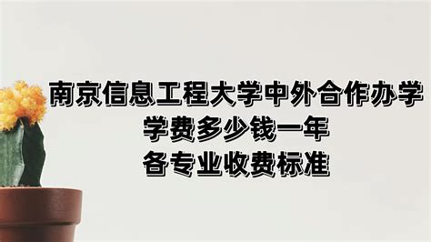 2023南京信息工程大学中外合作办学学费多少钱一年，各专业收费标